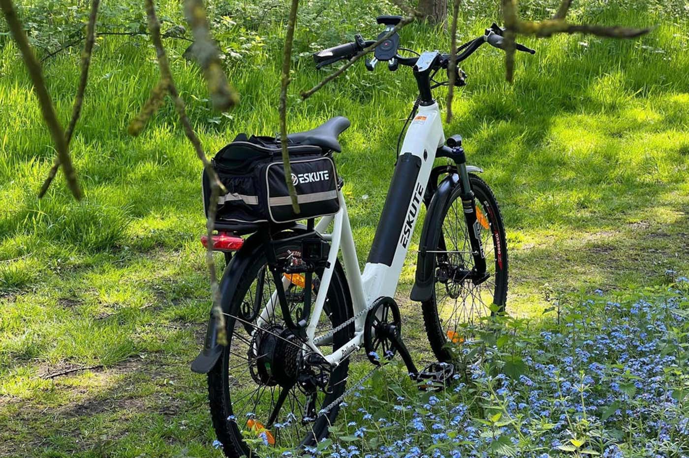 What to Do When Your Electric Bike Runs Out of Power Mid Ride