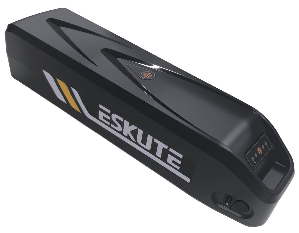 48V Removable Ebike Spare Battery – Eskute